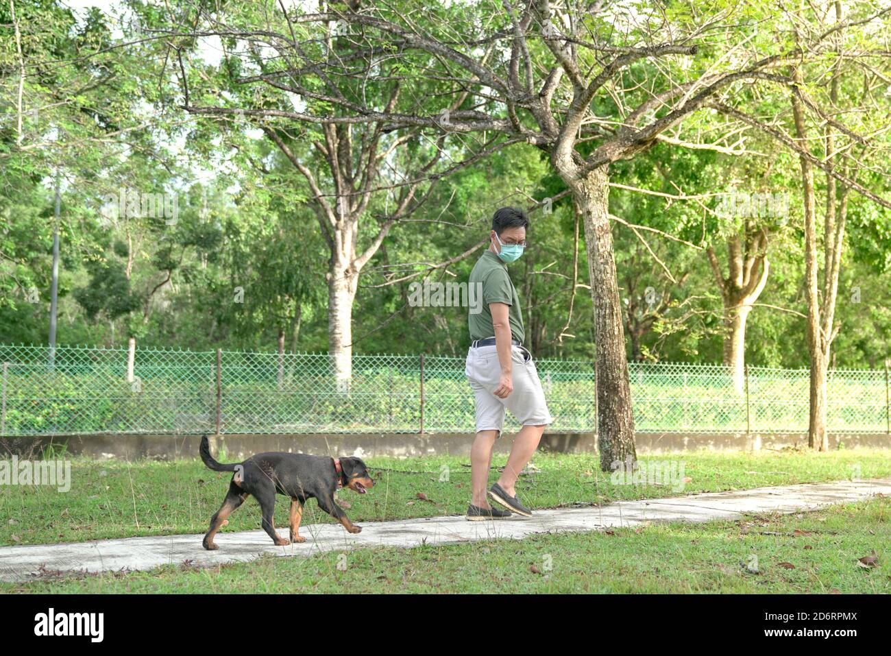 Dog follow man wearing mask while taking a walk at the park. Outdoor ...