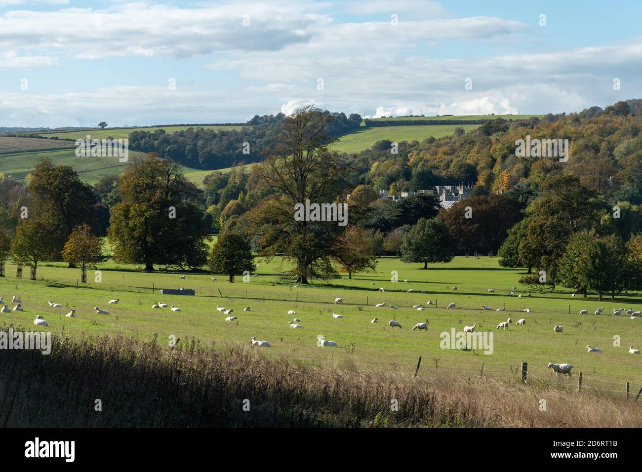 Rolling hills uk with sheep hi-res stock photography and images - Alamy