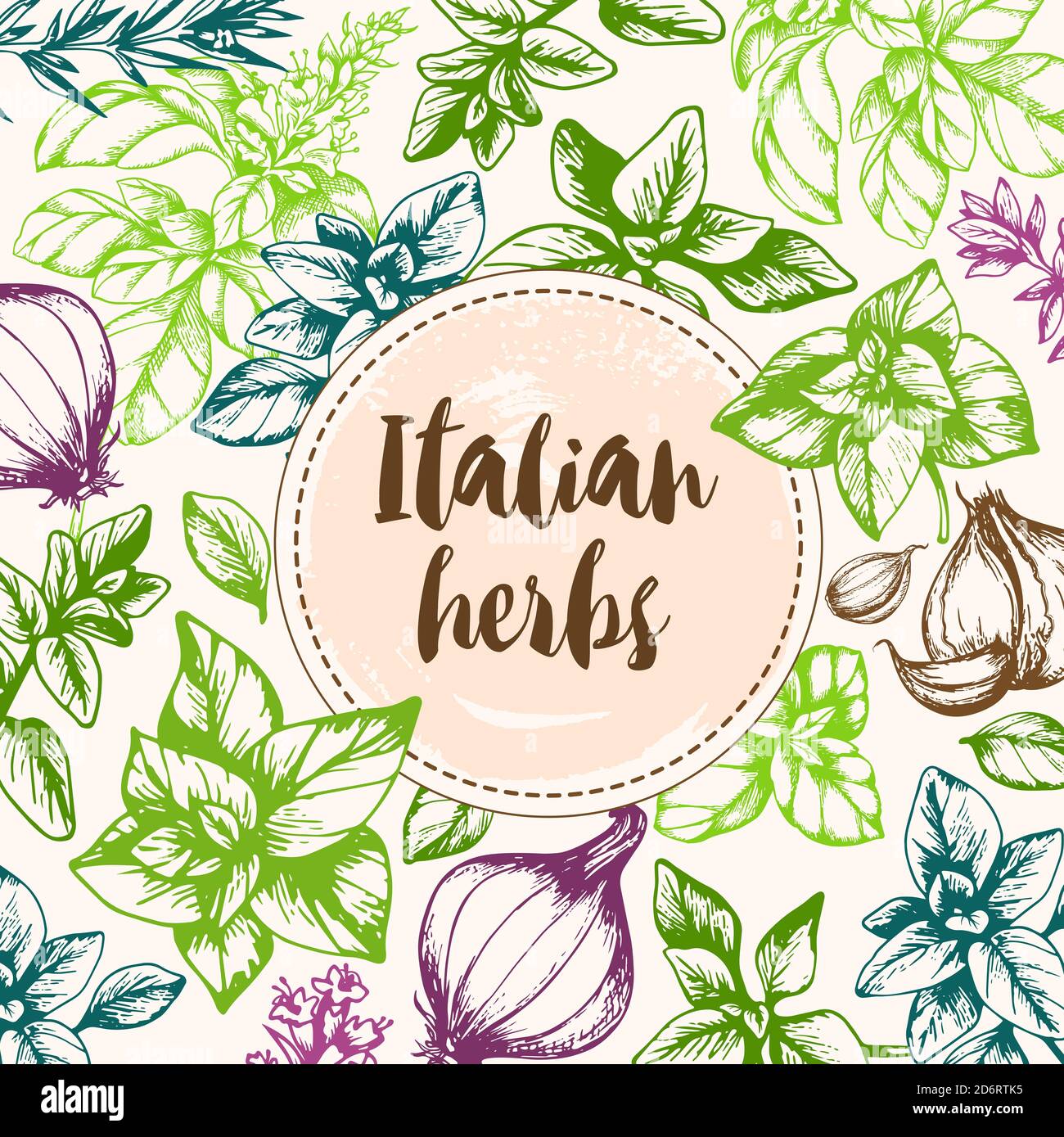 Vintage hand drawn background with Italian spices and herbs Stock Photo ...