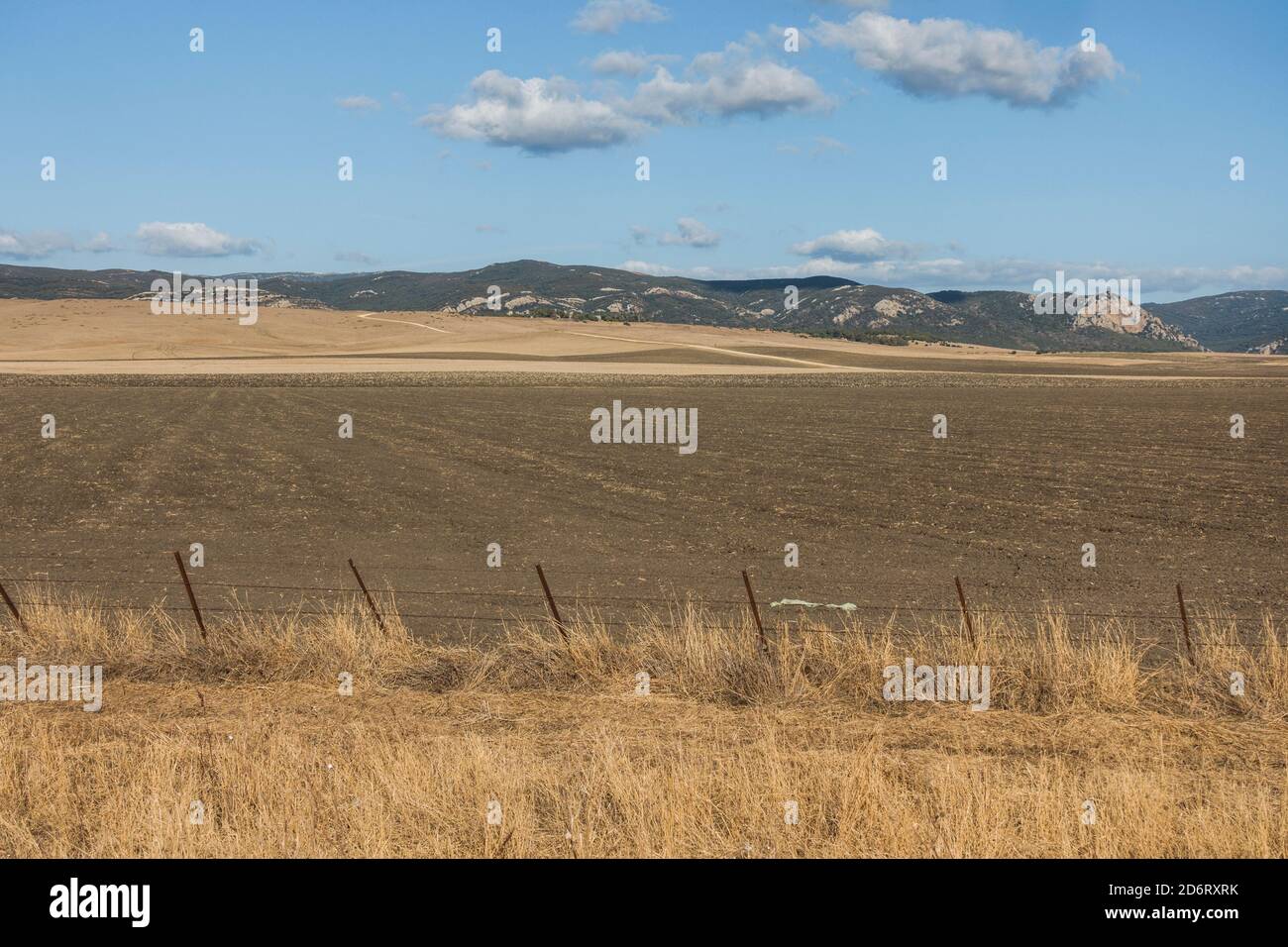 The plains of La Janda, dry wetlands, Andalusia, Spain Stock Photo - Alamy