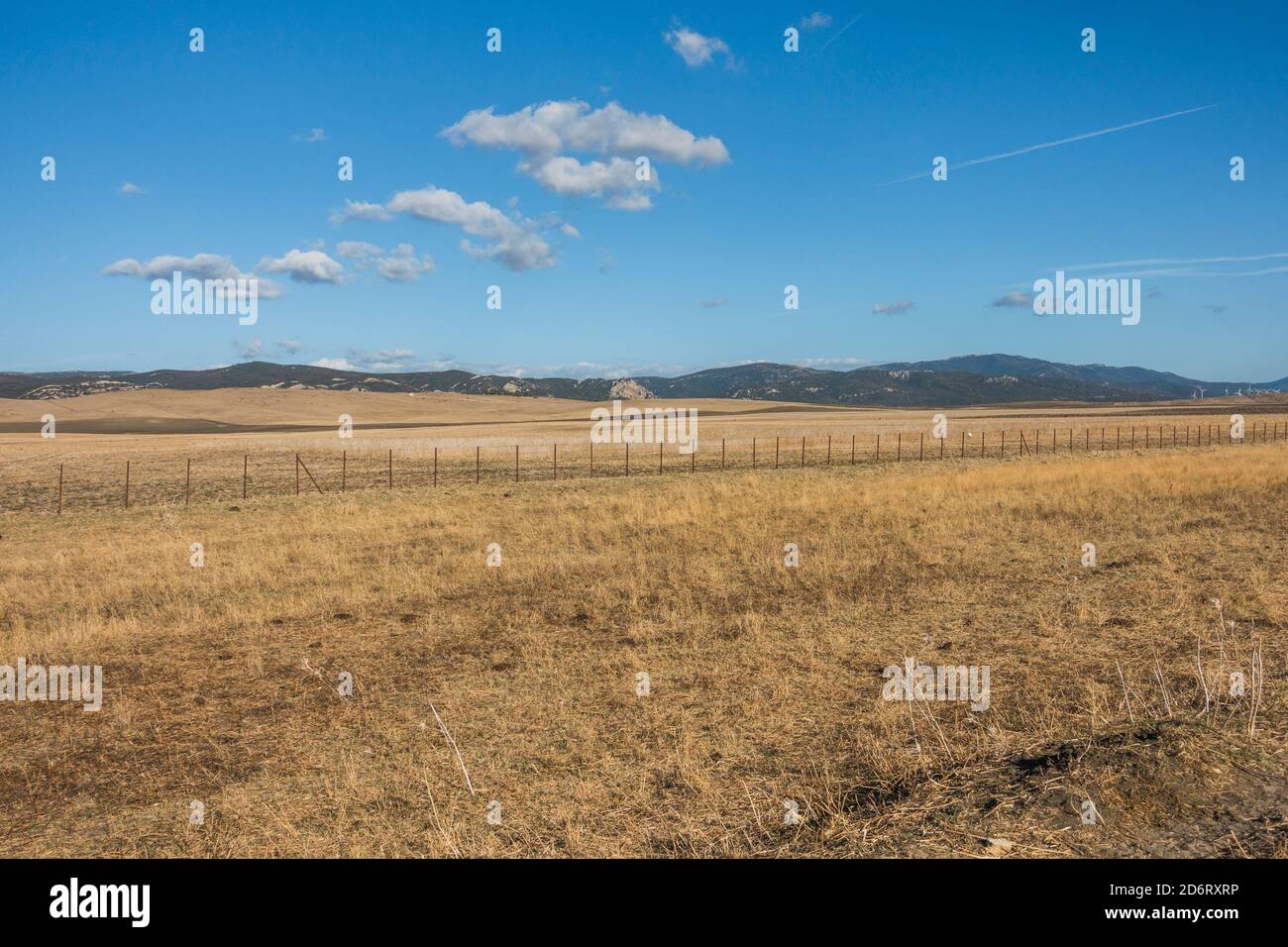 The plains of La Janda, dry wetlands, Andalusia, Spain Stock Photo - Alamy