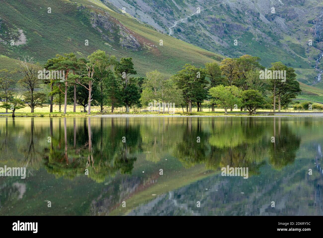 Summer early morning reflections on Buttermere in the Lake District ...