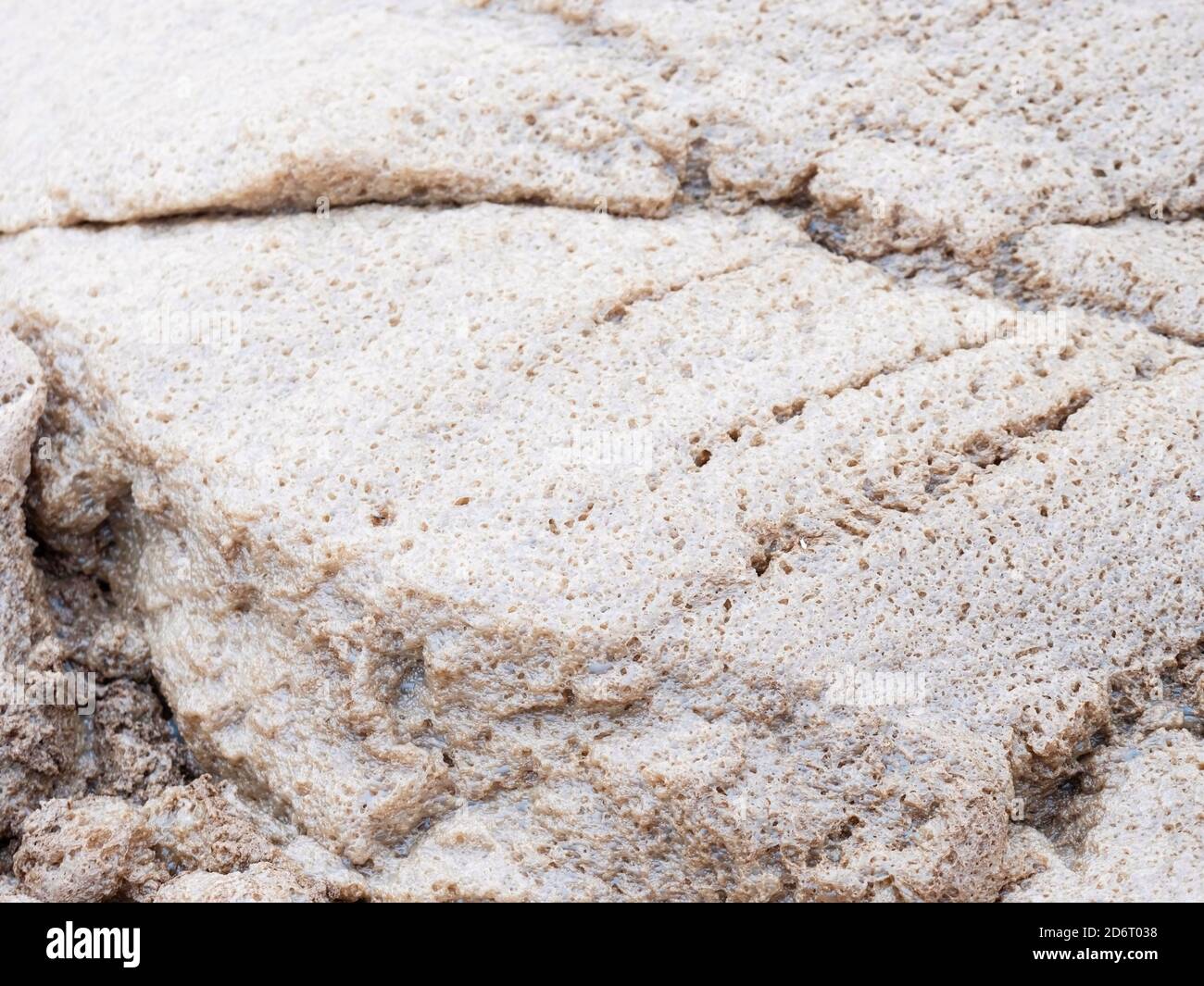 Humus tank hi-res stock photography and images - Alamy