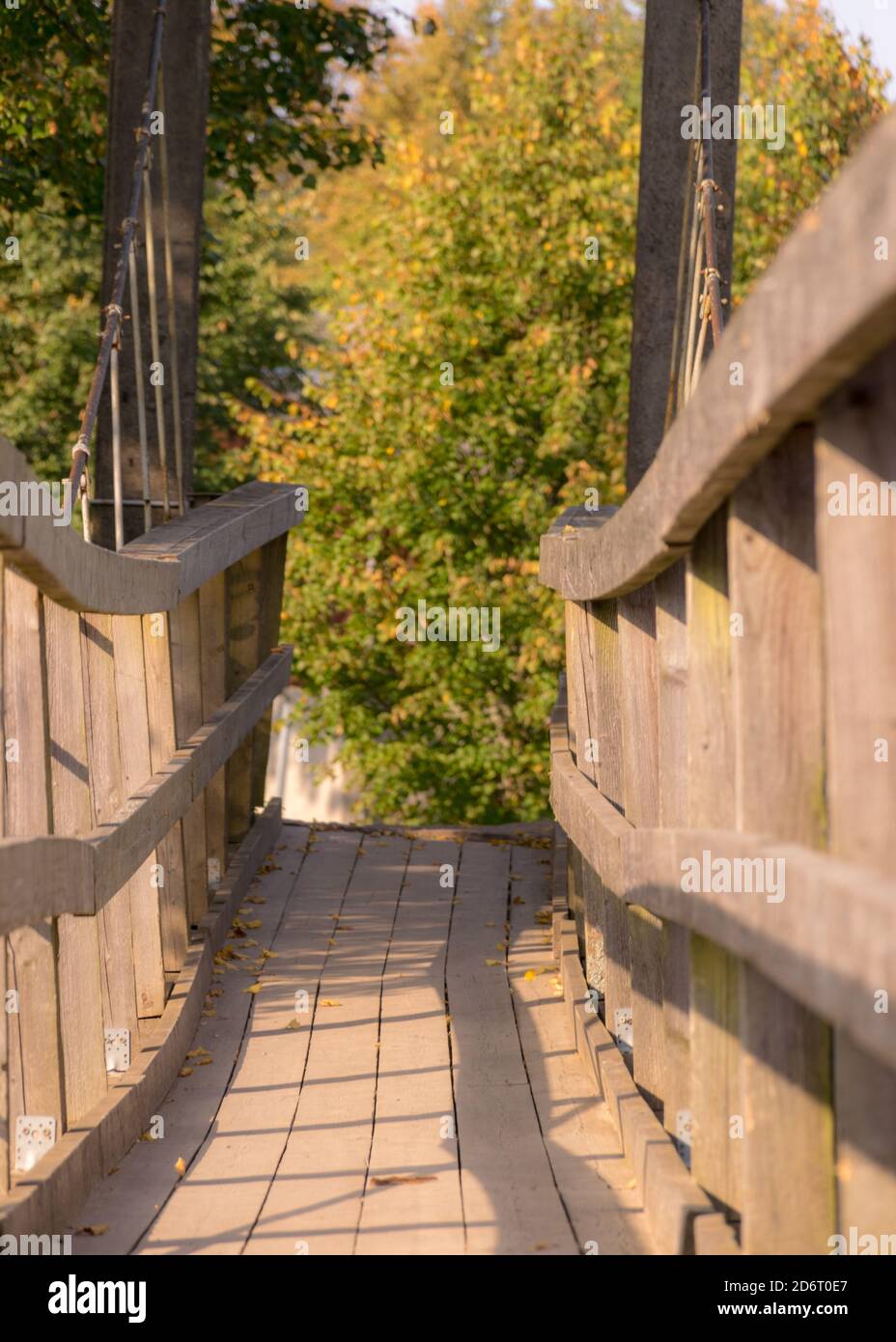 picture with wooden bridge over the river, trees and shrubs in the ...