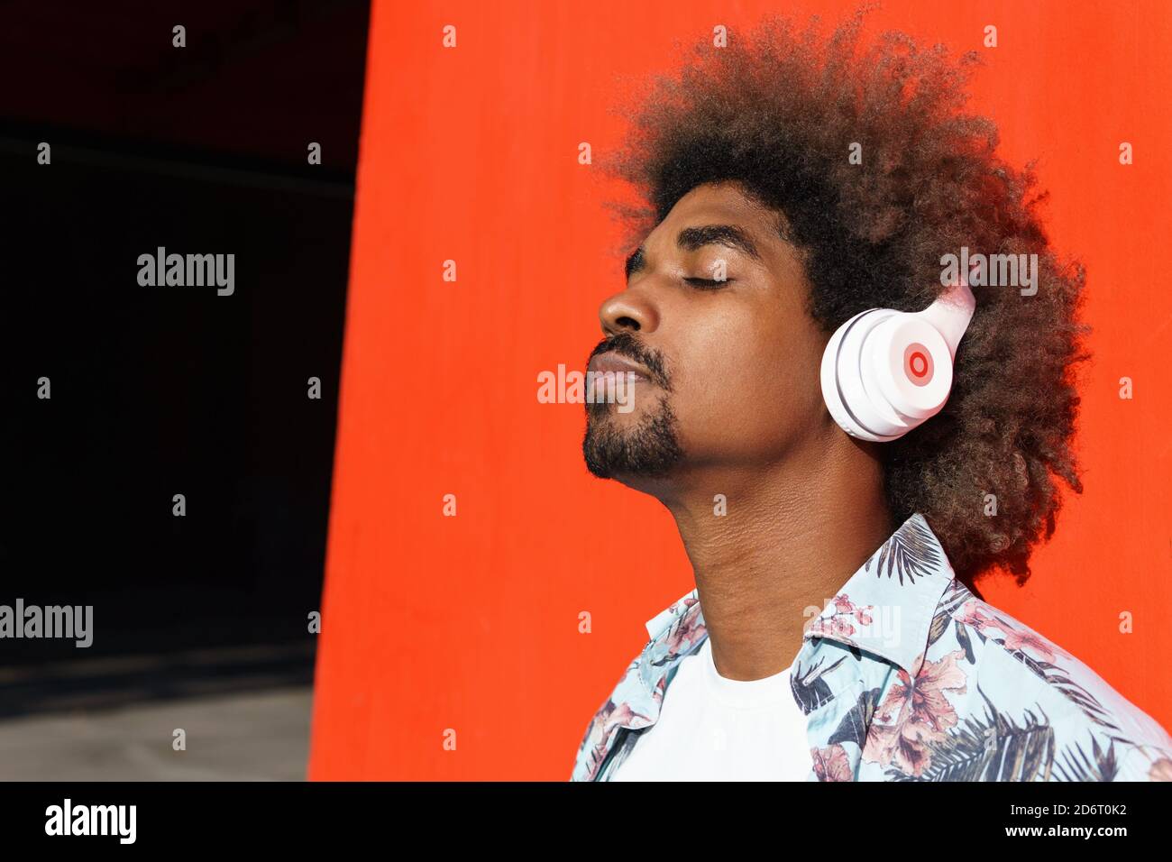 Young masculine bearded African American male with Afro hairstyle and ...