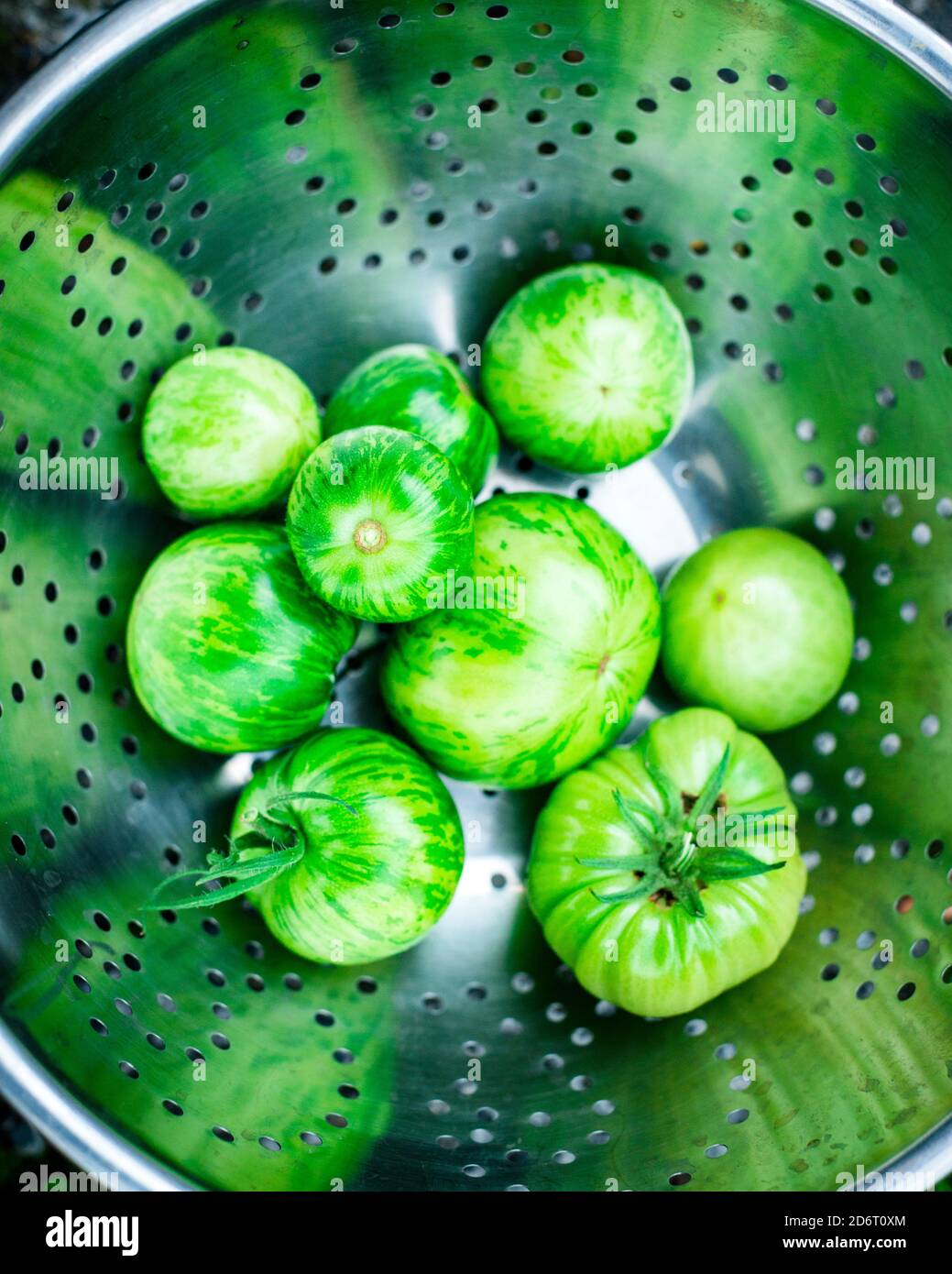Green and rare tomato breeds Stock Photo - Alamy