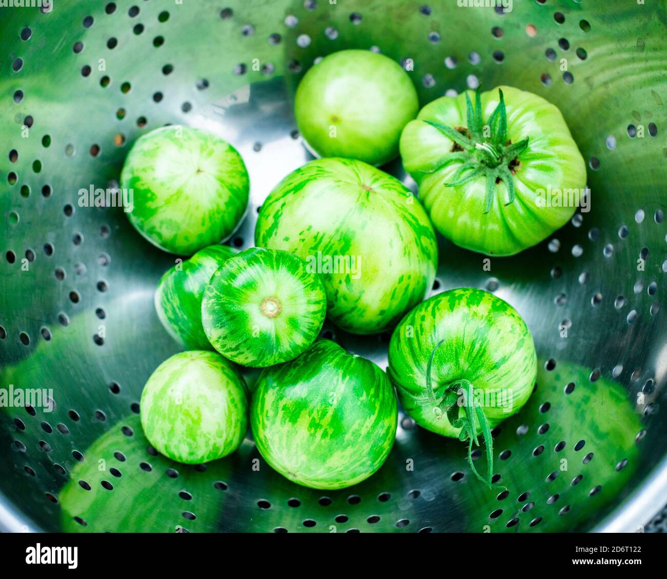 Green and rare tomato breeds Stock Photo - Alamy