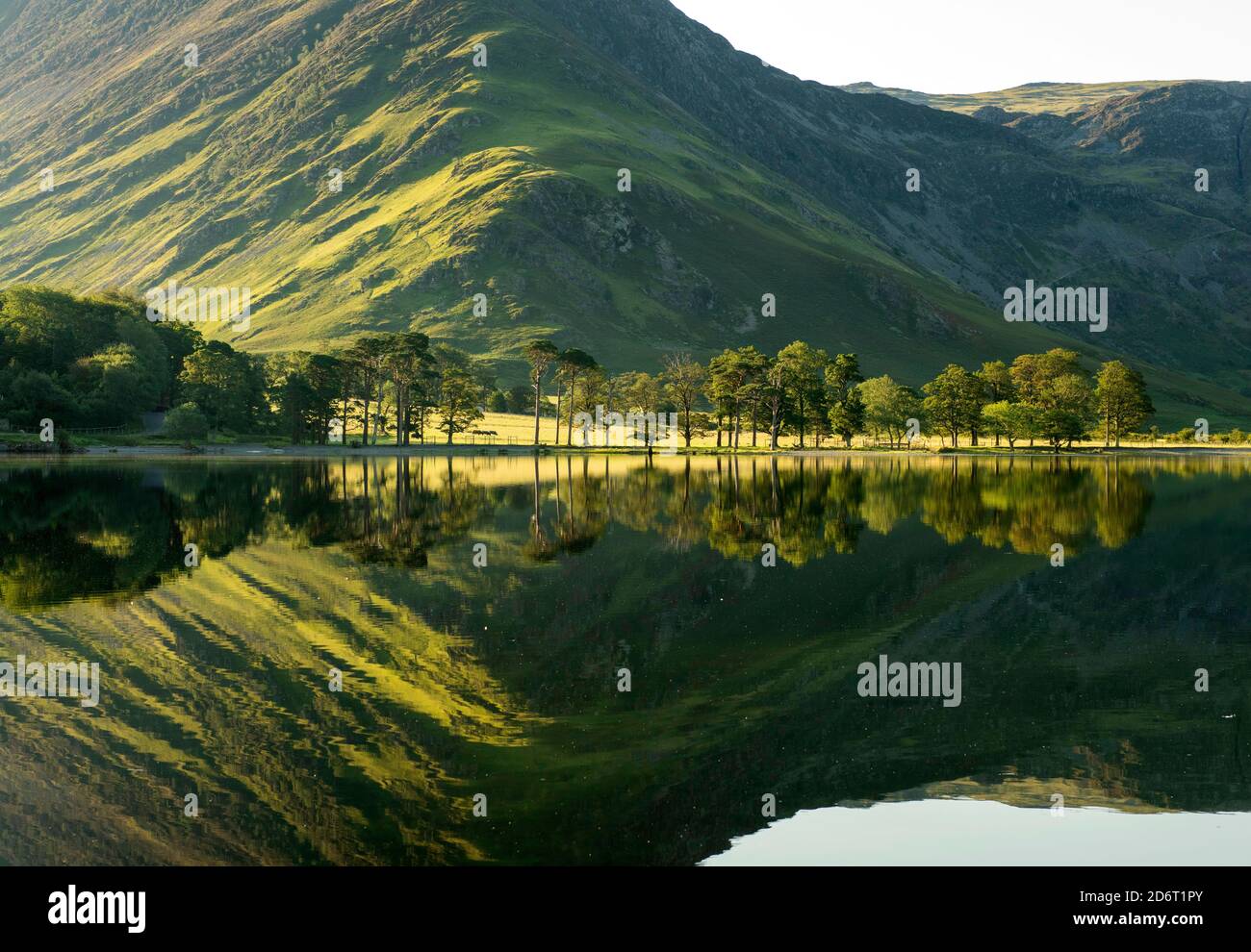 Summer early morning reflections on Buttermere in the Lake District ...