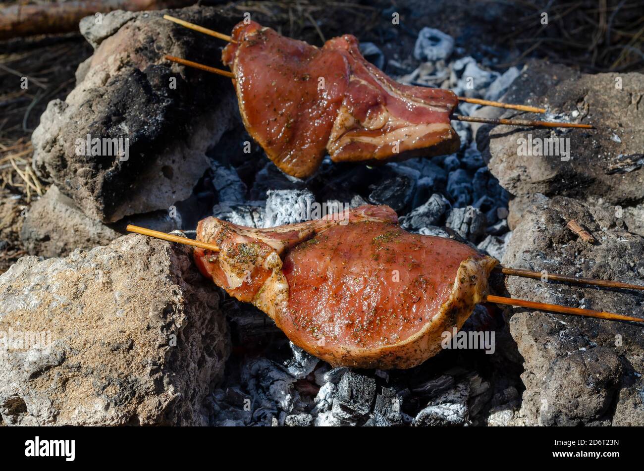 Pork entrecote is grilled on coals in the forest. Two pieces of juicy ...