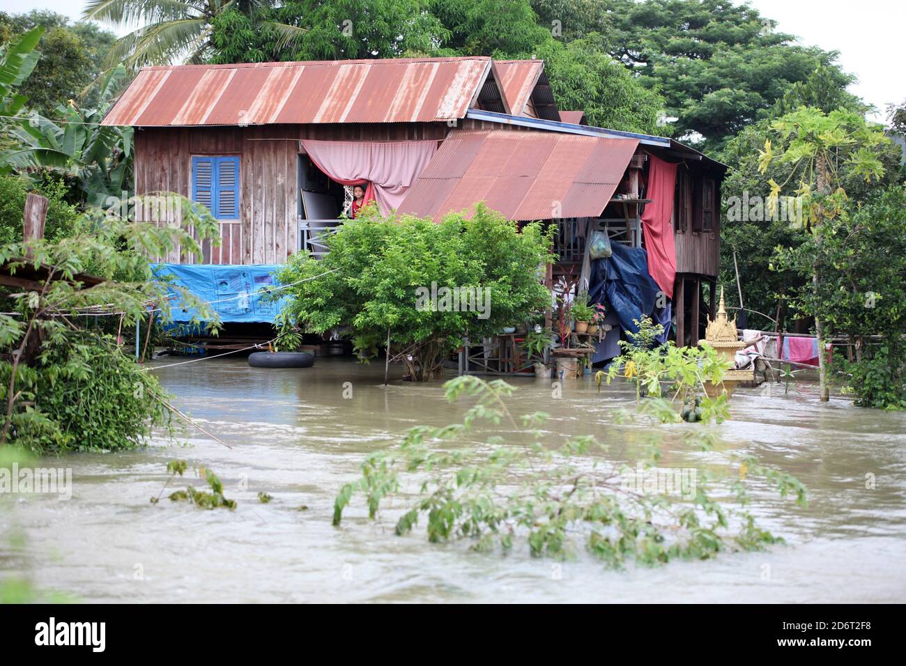 Phnom Penh. 18th Oct, 2020. A boy stands in his flooded house in O ...