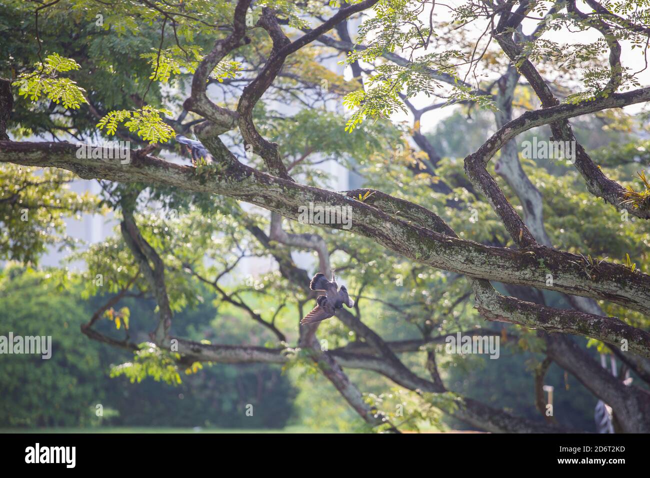 Thread trap hi-res stock photography and images - Alamy