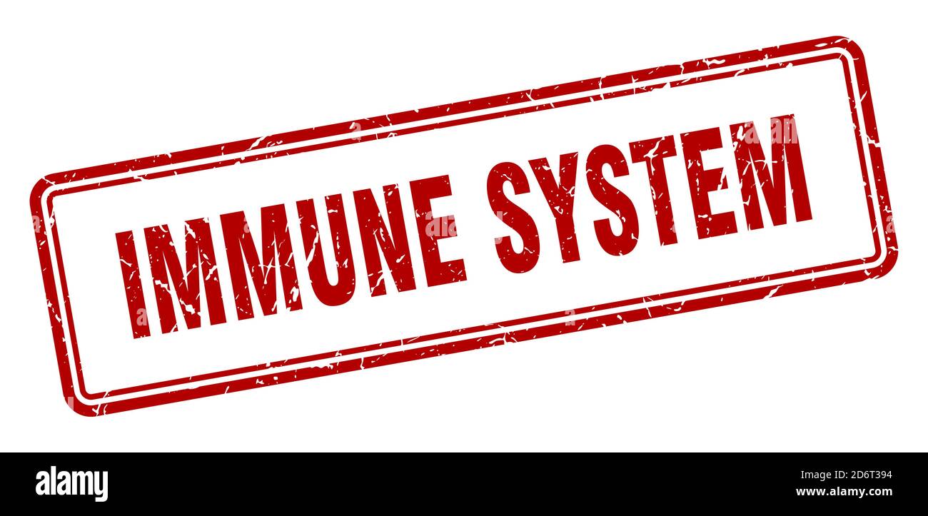 immune system stamp. square grunge sign isolated on white background ...