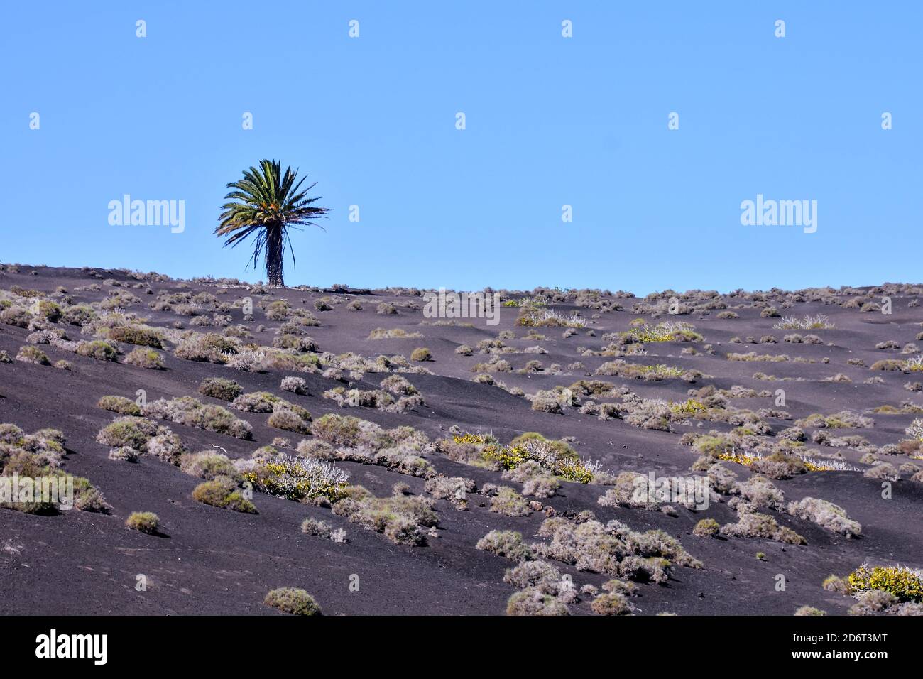Volcanic landscapes on Timanfaya Stock Photo - Alamy