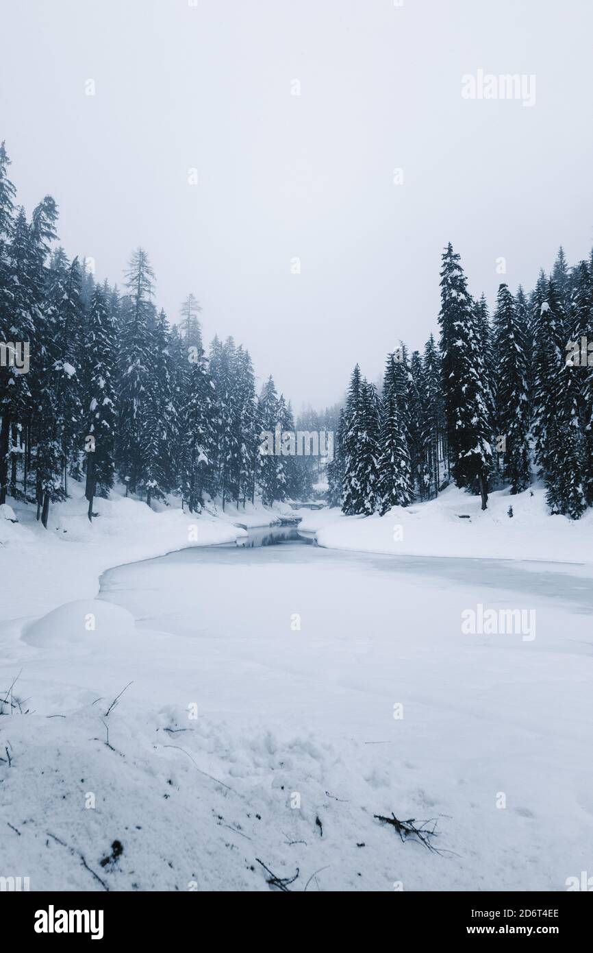 Dense snowfall hi-res stock photography and images - Alamy