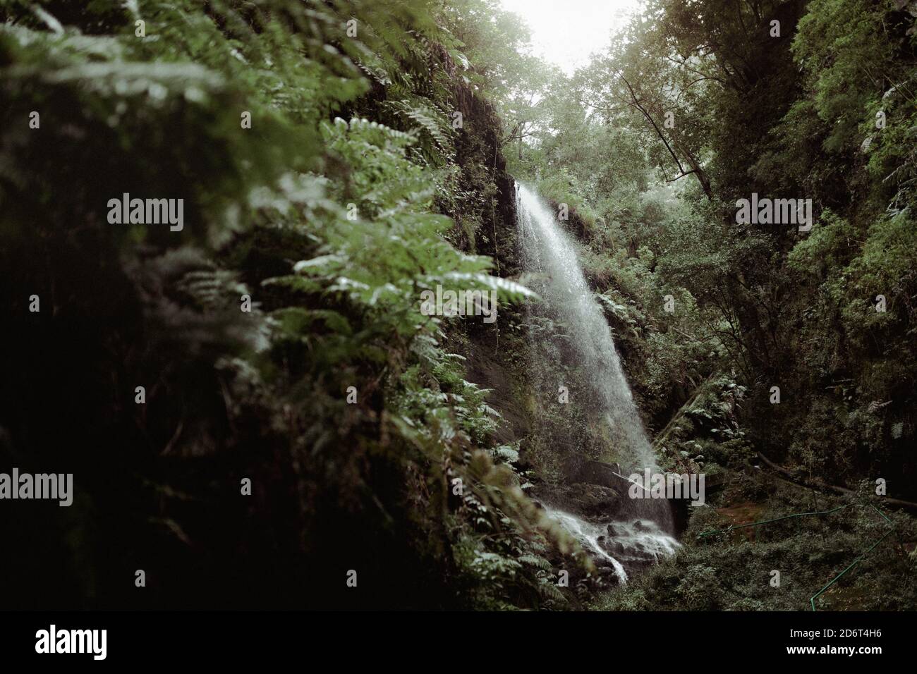 Picturesque scenery of small waterfall falling into narrow mountain ...