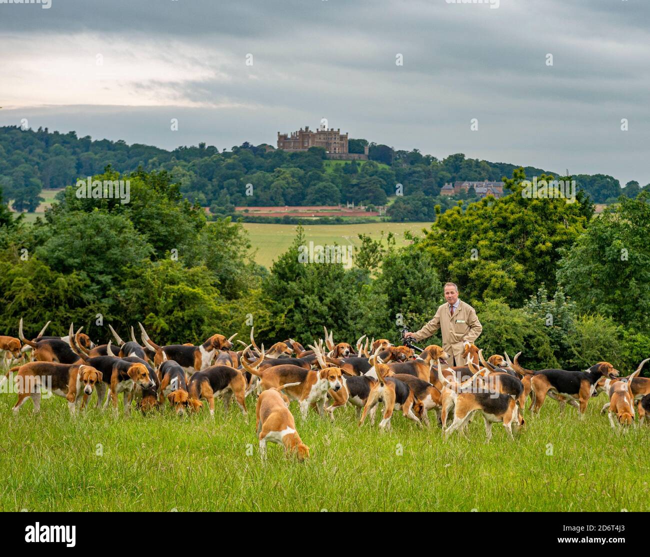 Duke of rutlands hounds hi-res stock photography and images - Alamy