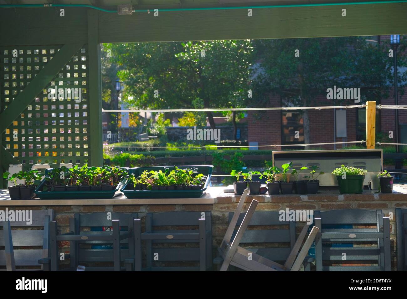 Urban Garden, Halloween, Fountain,, Construction, Huguenot Church ...