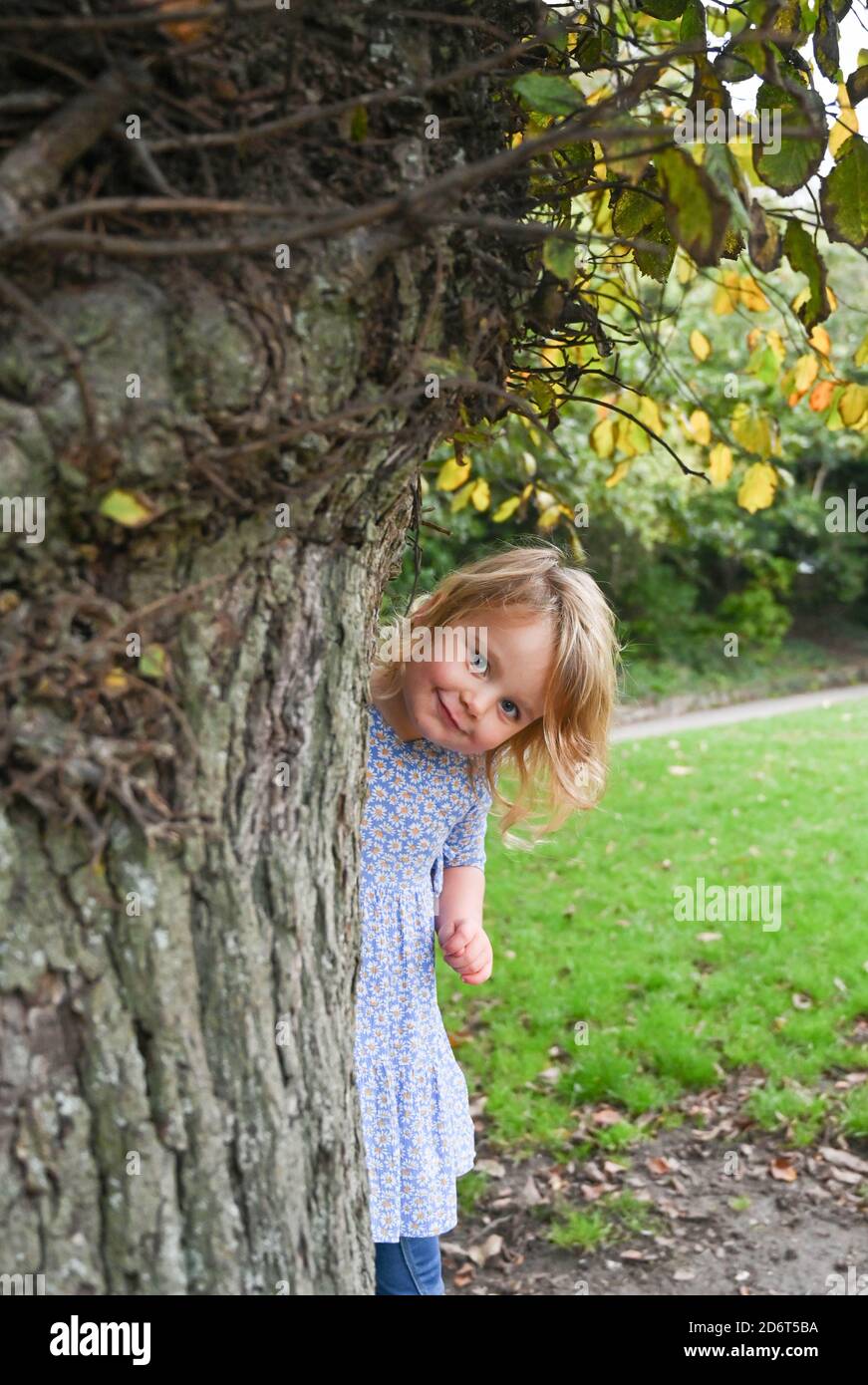 Happy children hiding behind tree hi-res stock photography and images ...