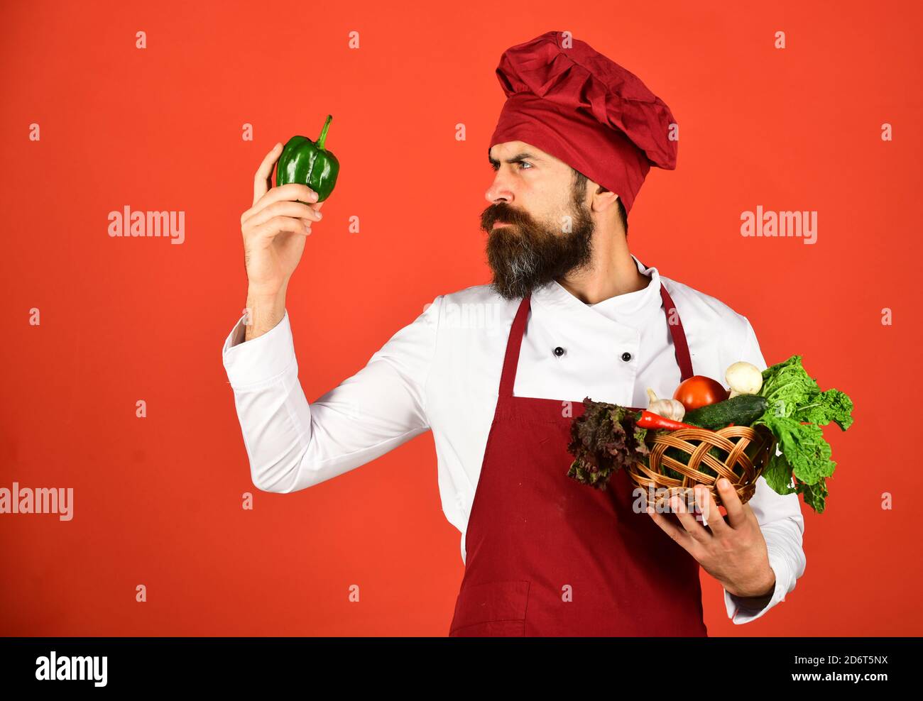 Cook with serious face in burgundy uniform looks at pepper holding ...