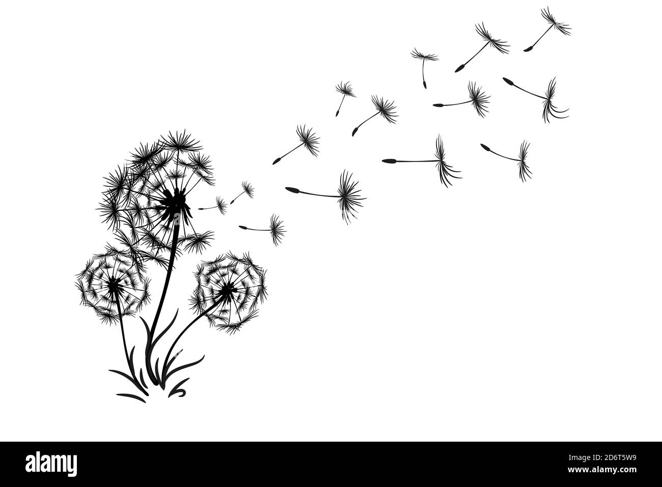 Wind Blowing Flowers Drawing