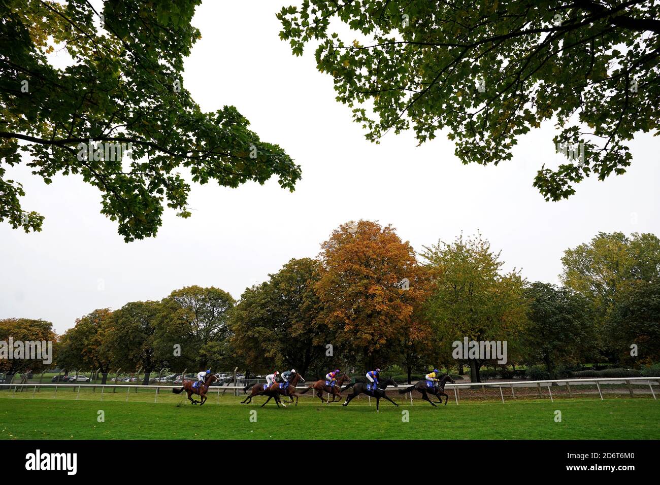Runners and riders in the Phil Bull Trophy Conditions Stakes at ...