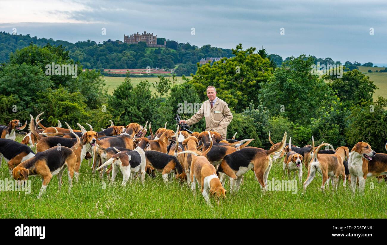 Duke of rutlands hounds hi-res stock photography and images - Alamy