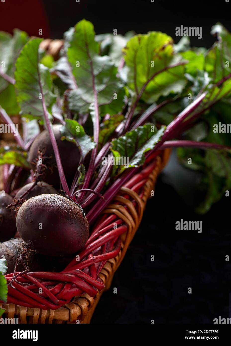 Handpicked green vegetables hi-res stock photography and images - Alamy