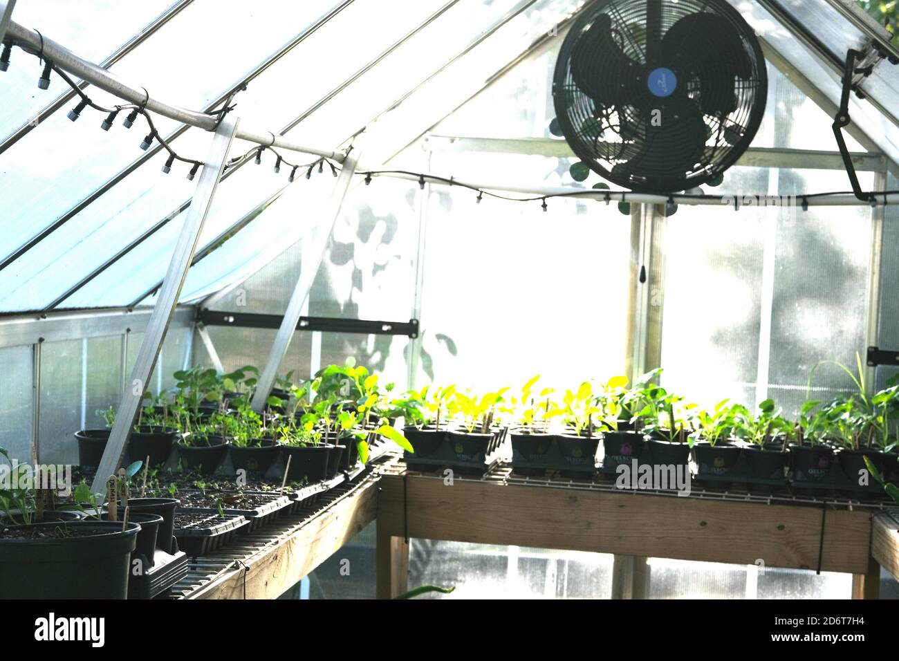 Urban Garden, Halloween, Fountain,, Construction, Huguenot Church ...