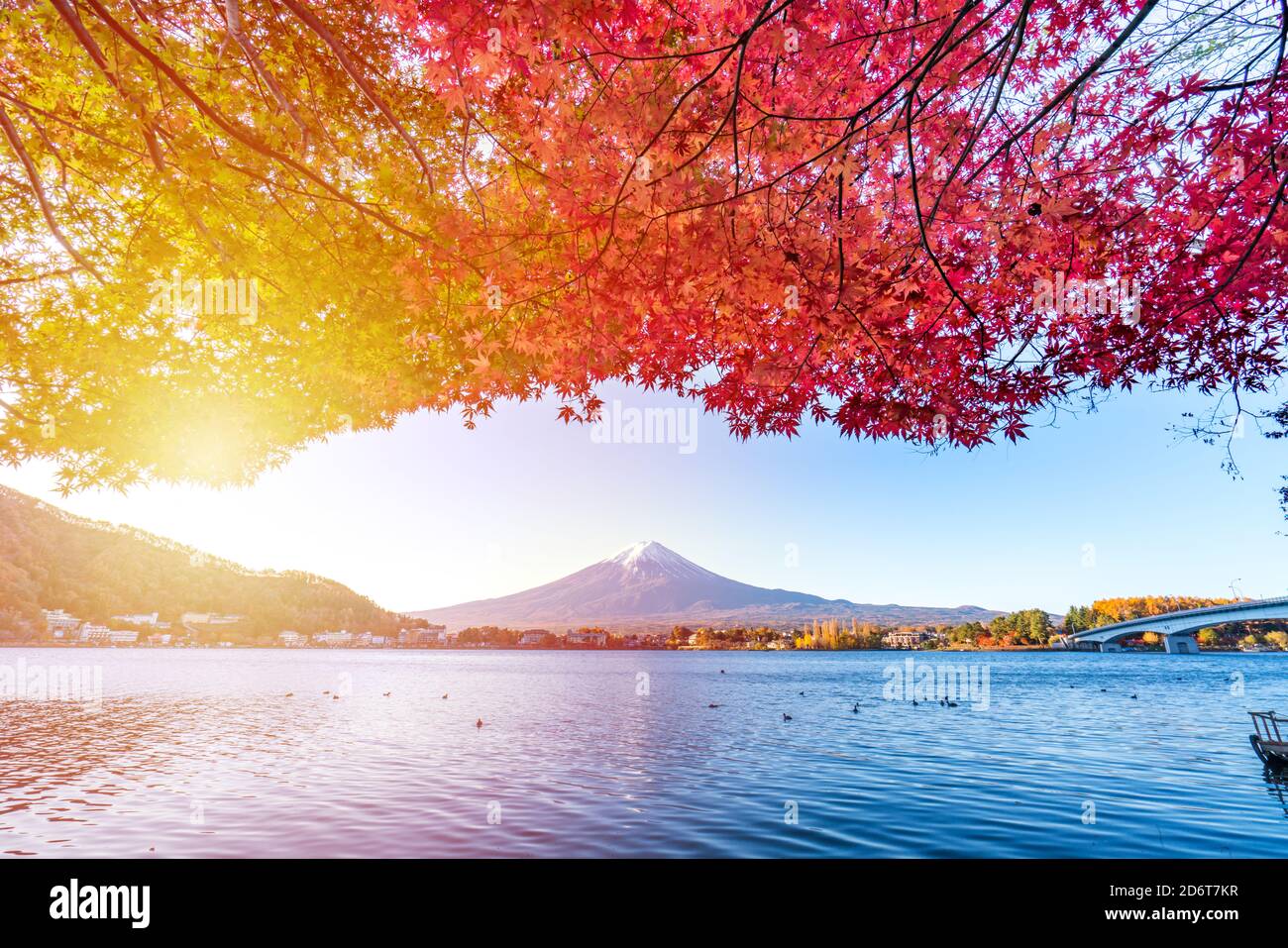 Colorful Autumn in Mount Fuji, Japan - Lake Kawaguchiko is one of the ...