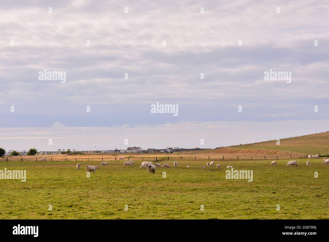 European natural countryside Stock Photo - Alamy