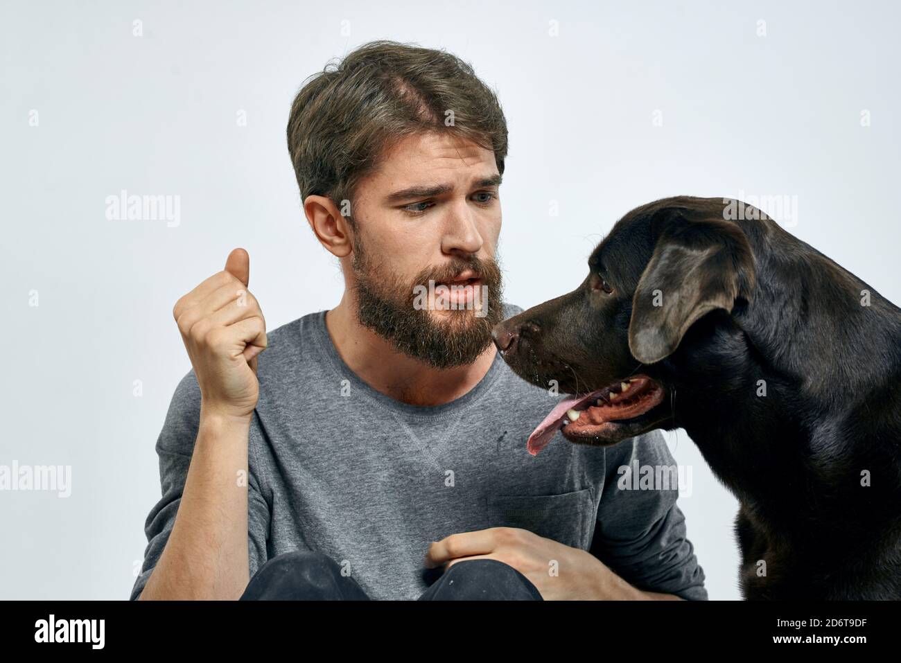 happy owner with pet black dog training model emotions Stock Photo - Alamy