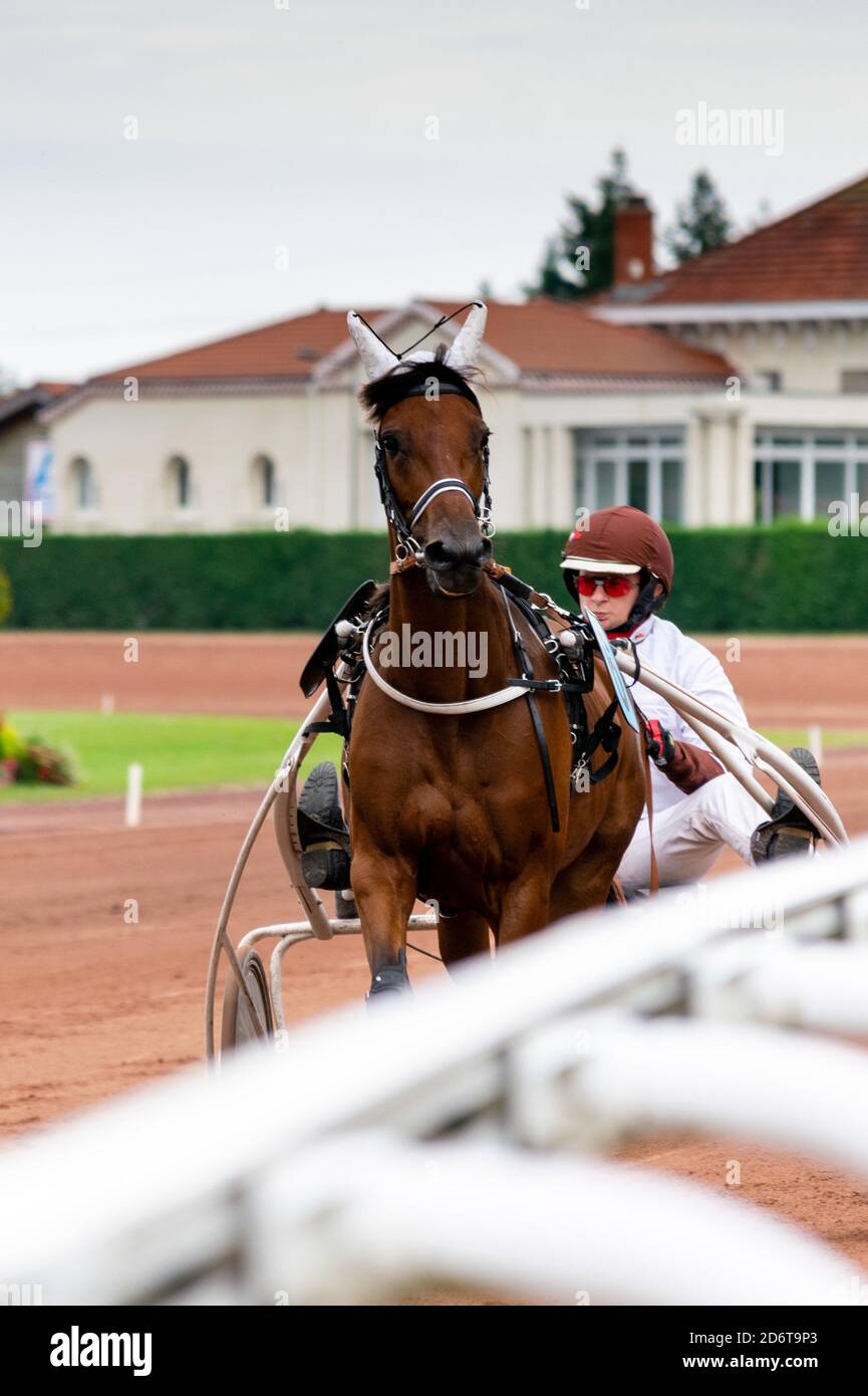 horse racing hippodrome of feurs Stock Photo - Alamy