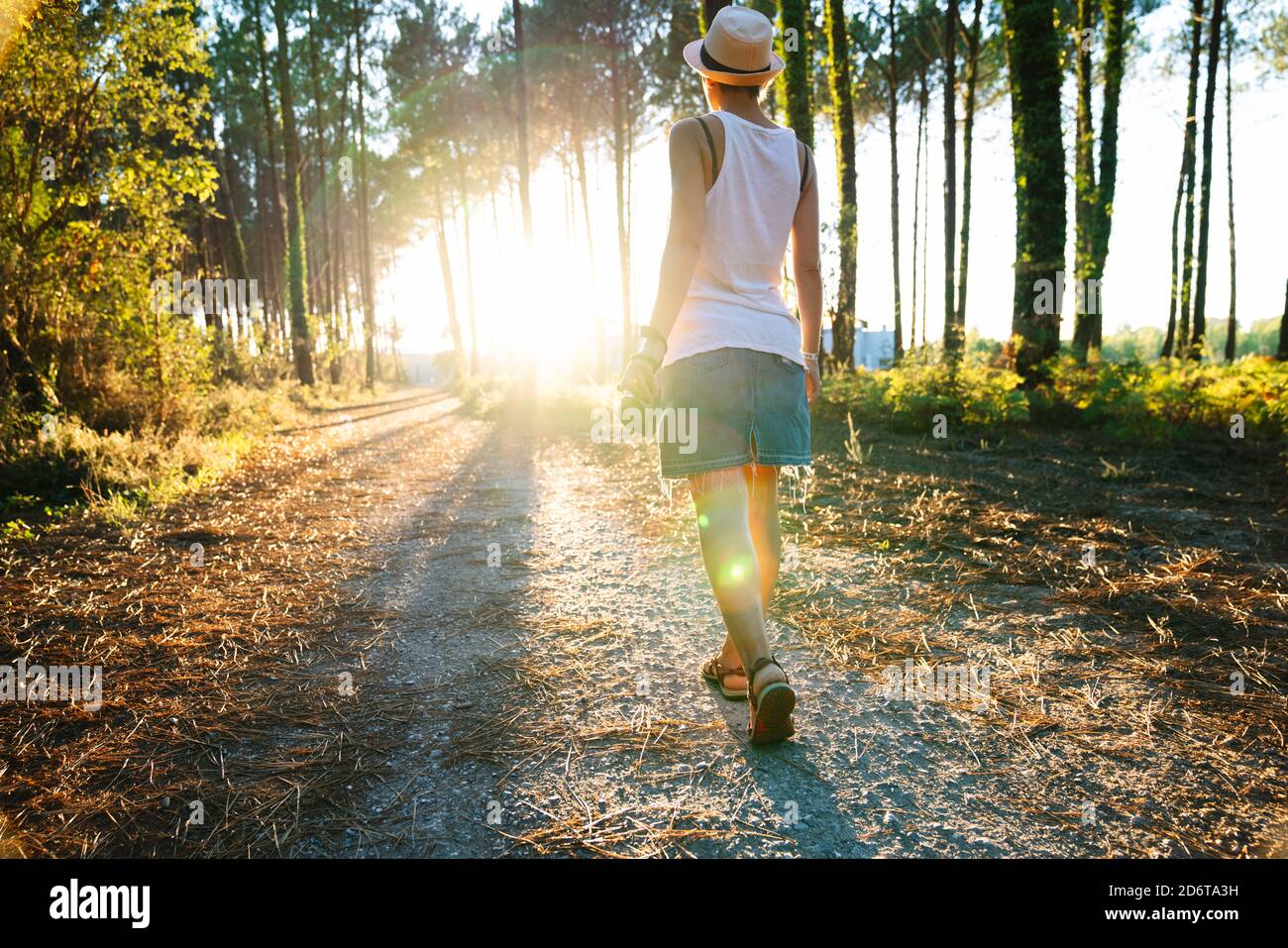 Back young female photographer walking hi-res stock photography and ...