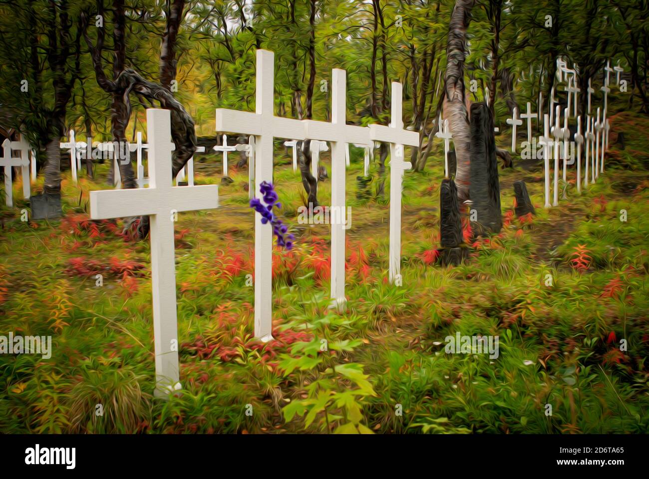 Colorful vegetation, plants on the Navvy cemetery in memorial up North ...