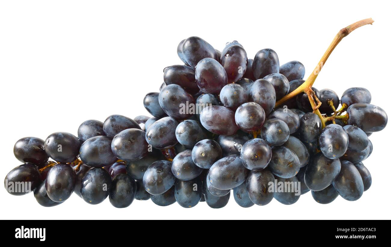 Dark blue grapes close hi-res stock photography and images - Alamy