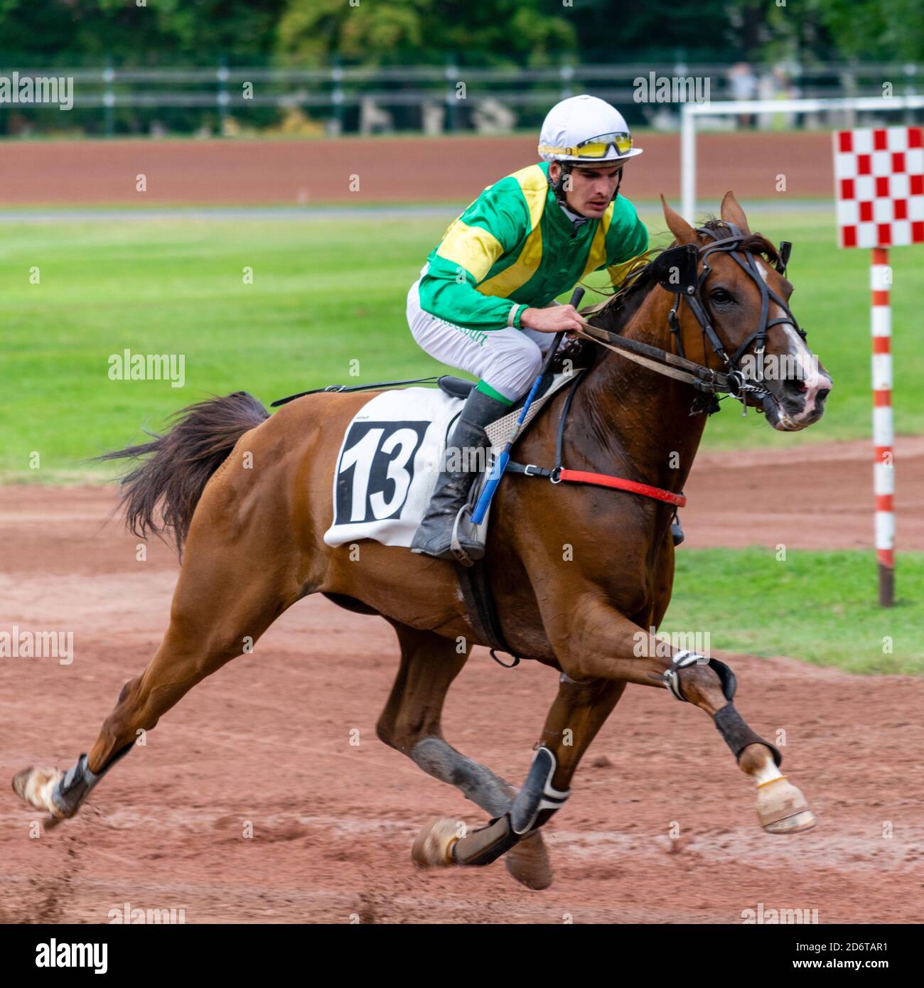 horse racing hippodrome of feurs Stock Photo - Alamy