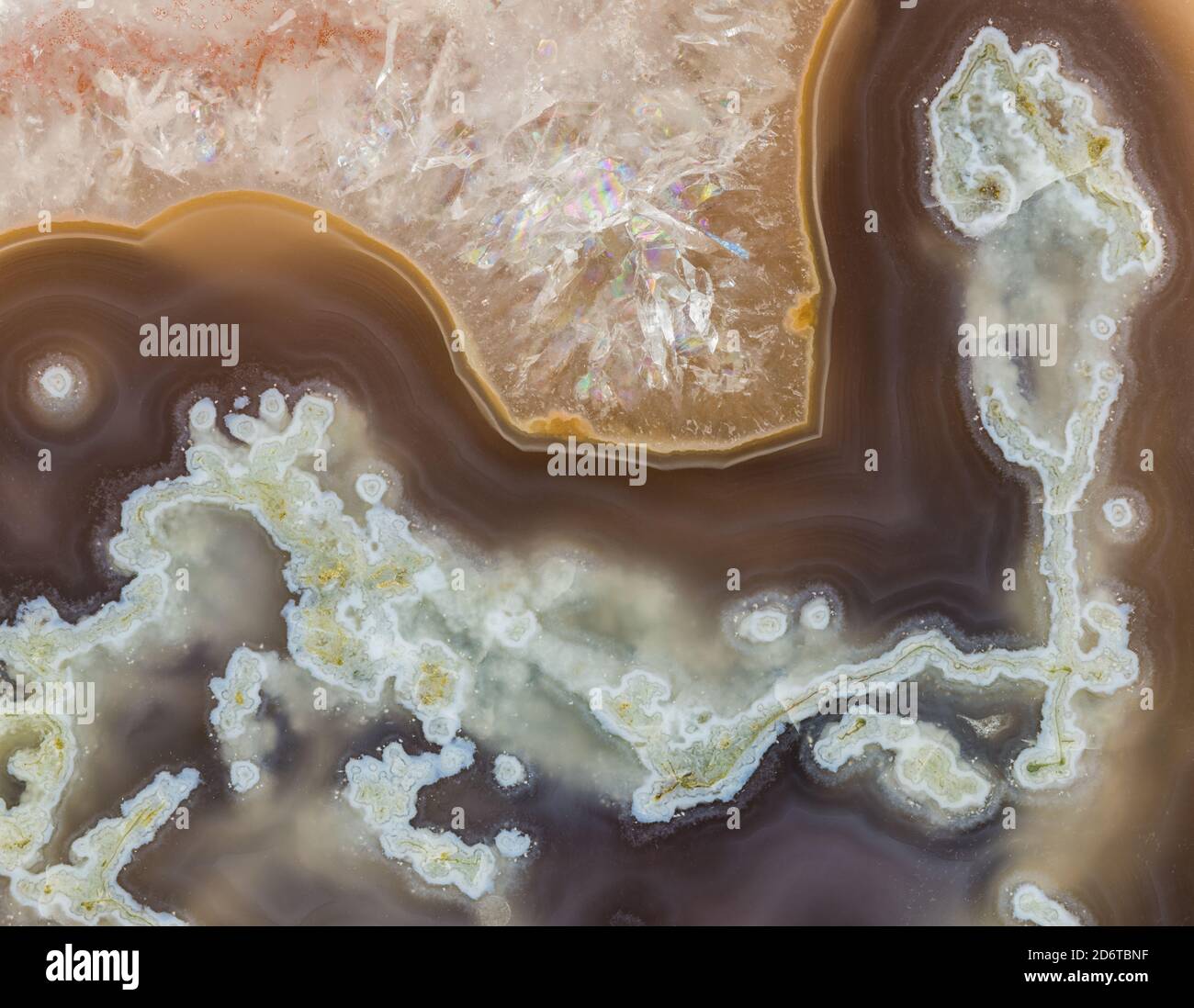 Moss agate hi-res stock photography and images - Alamy