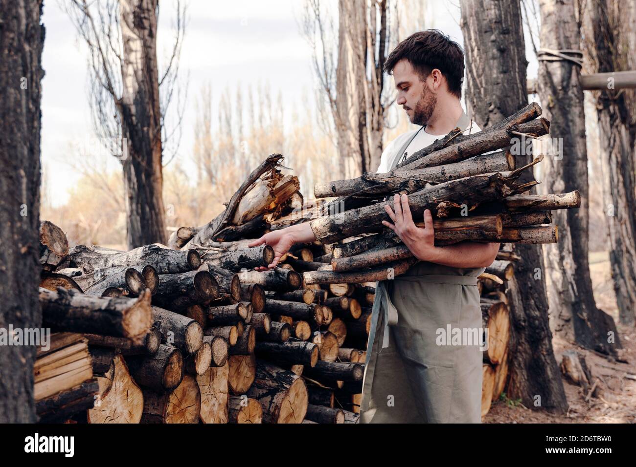Side view of male in apron taking logs from pile of firewood in forest ...