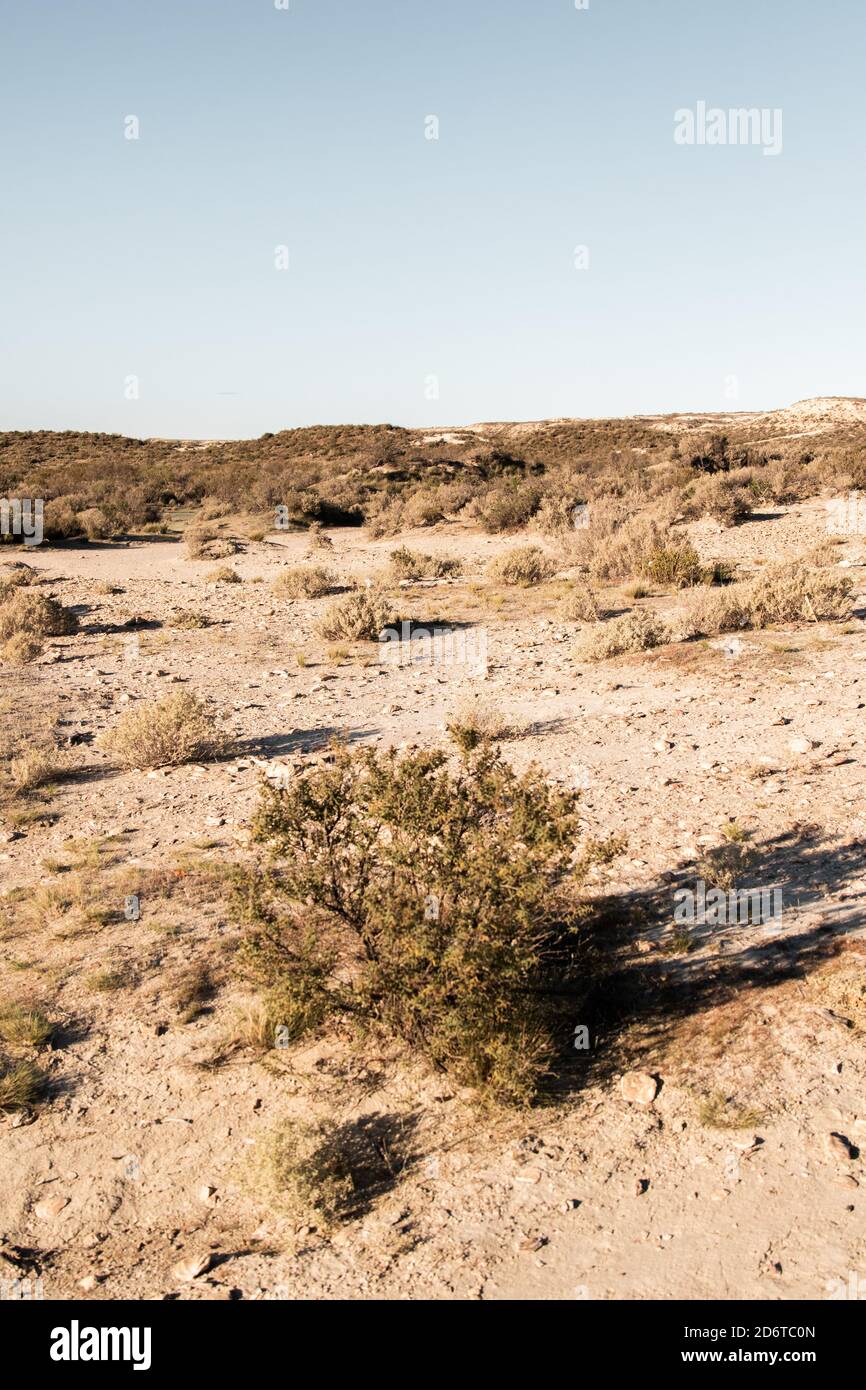 Semi arid terrain hi-res stock photography and images - Alamy