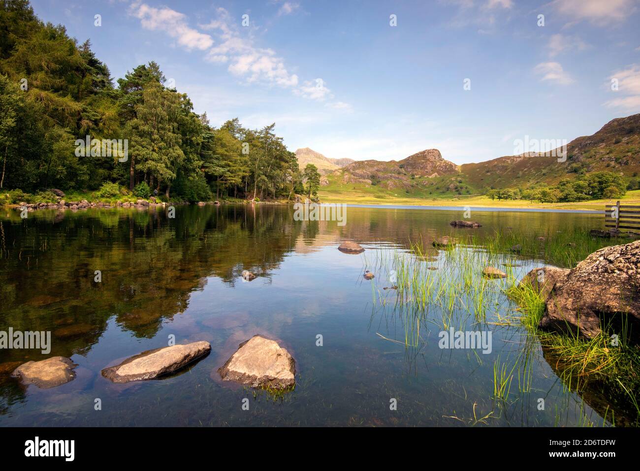 Summer day at Blea Tarn in the Lake District, Cumbria England UK Stock ...