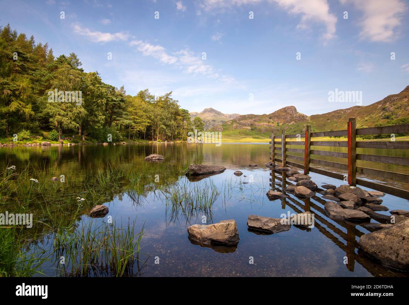 Summer day at Blea Tarn in the Lake District, Cumbria England UK Stock ...