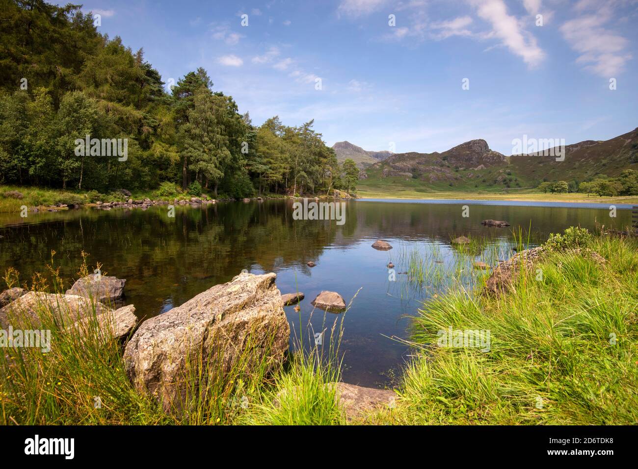 Summer day at Blea Tarn in the Lake District, Cumbria England UK Stock ...
