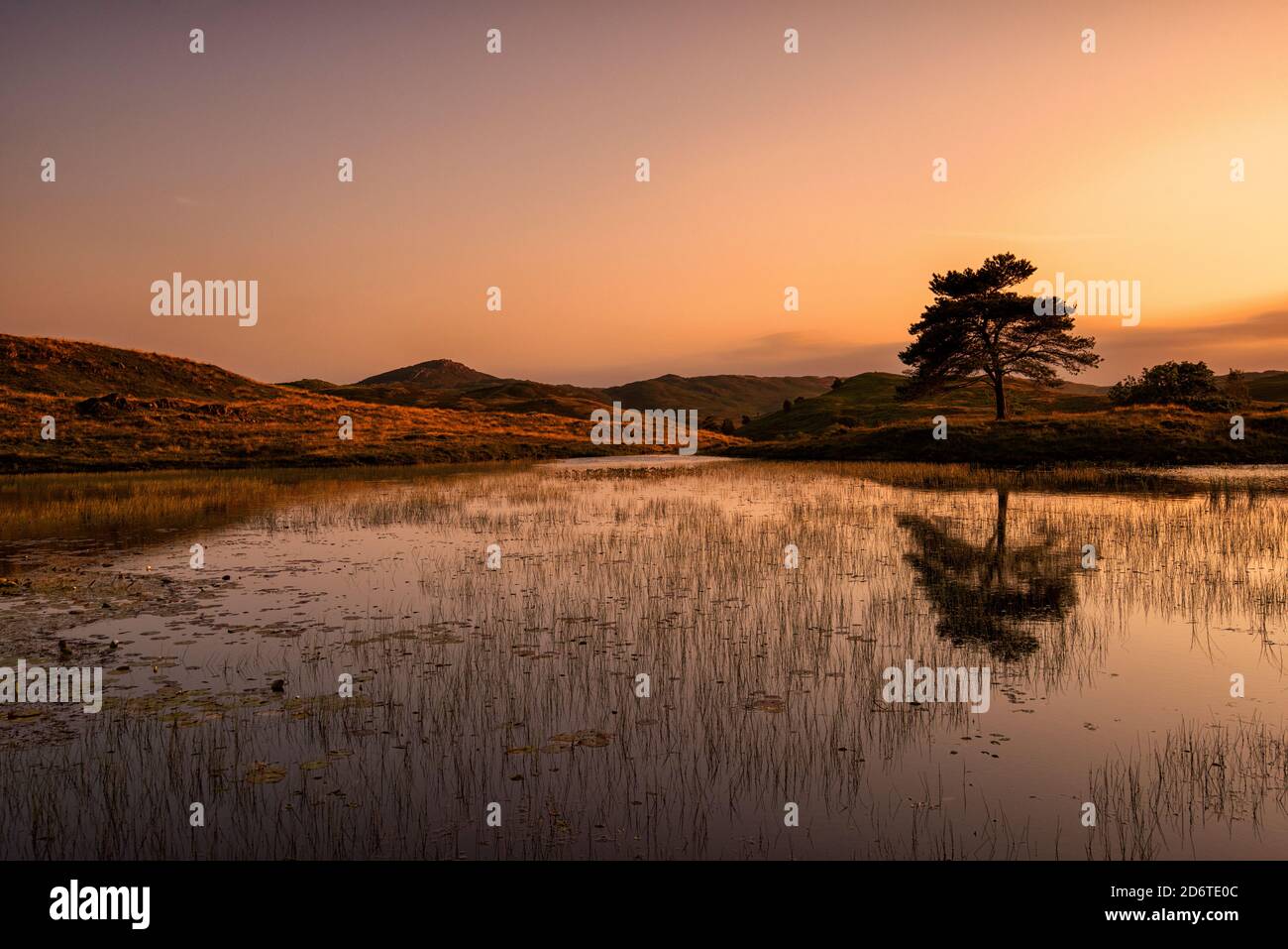 Sunset at Kelly Hall Tarn in the Lake District, Cumbria England UK ...