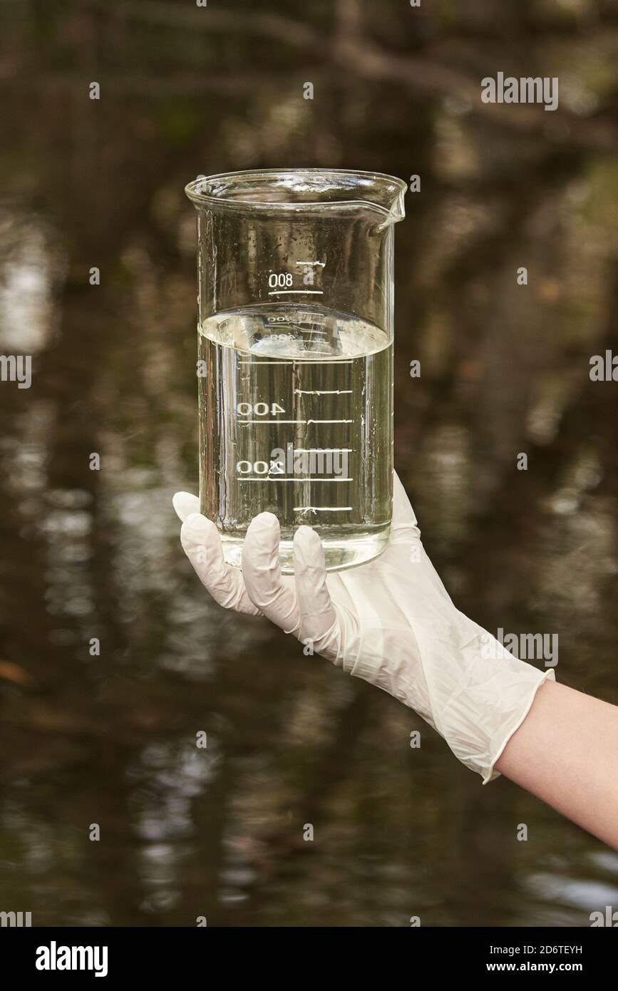 Beaker Filled With Water