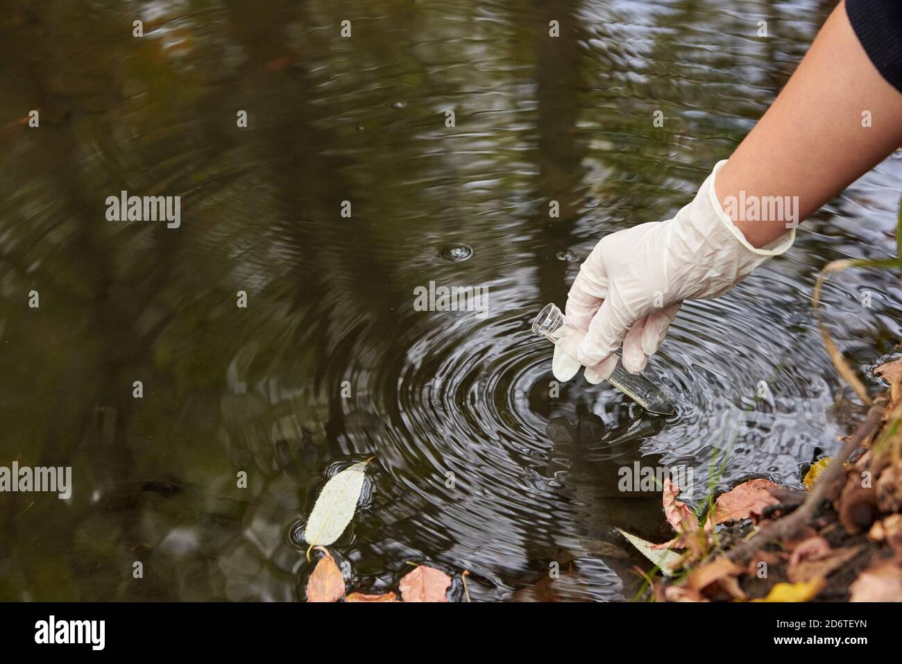 A scientist collects river water in a glass beaker for testing Stock ...