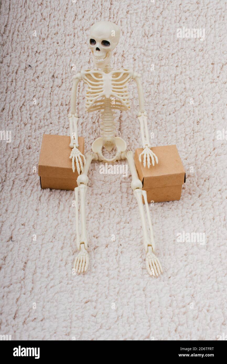 Human skeleton model for medical anatomy science with cardboard box ...