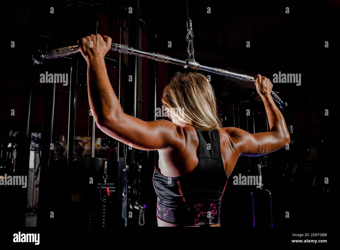 Back View Female Bodybuilder High Resolution Stock Photography and ...