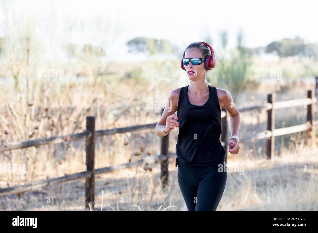 Female fitness physique athlete hi-res stock photography and images - Alamy