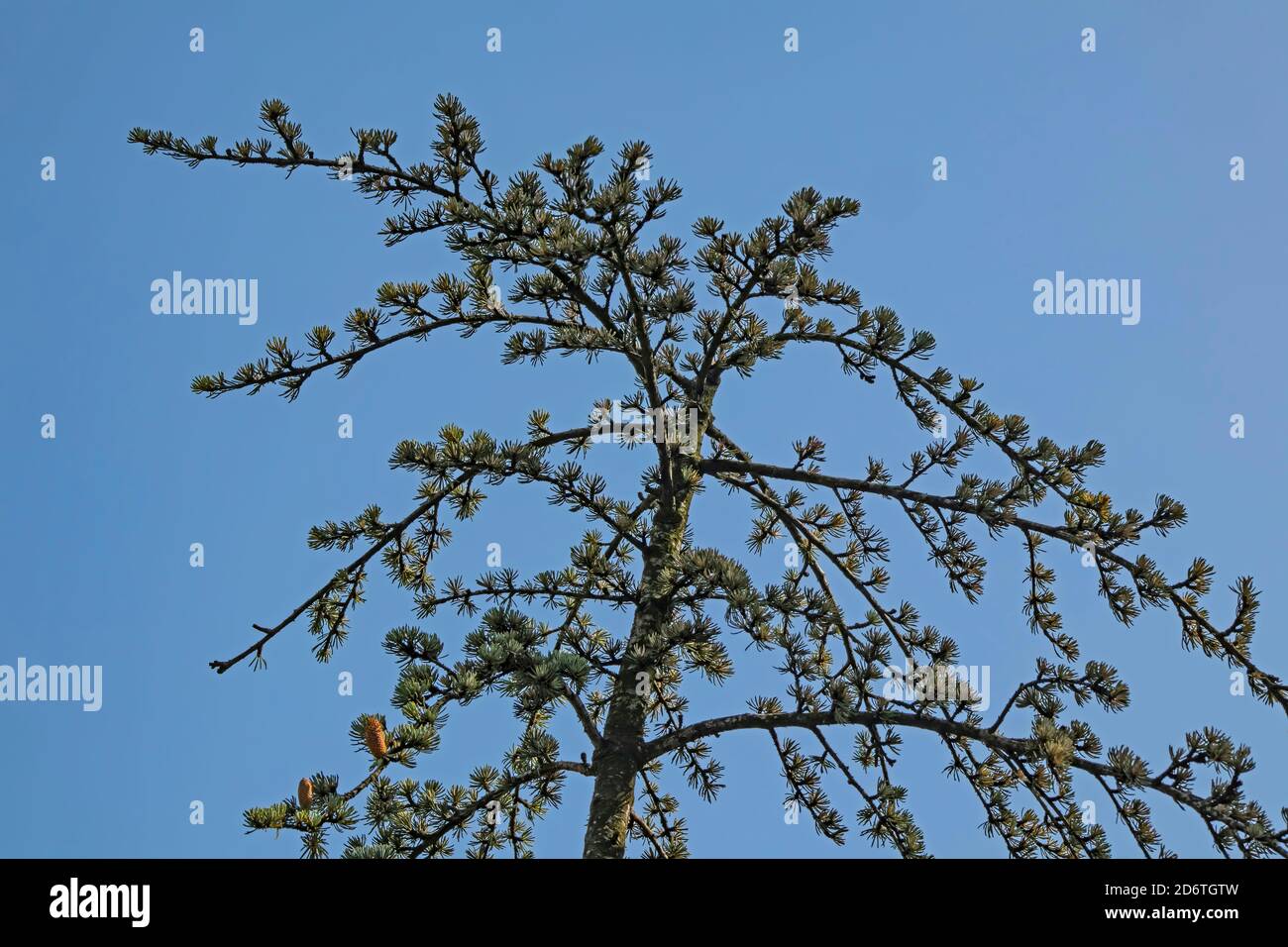 Basic oxygen hi-res stock photography and images - Alamy