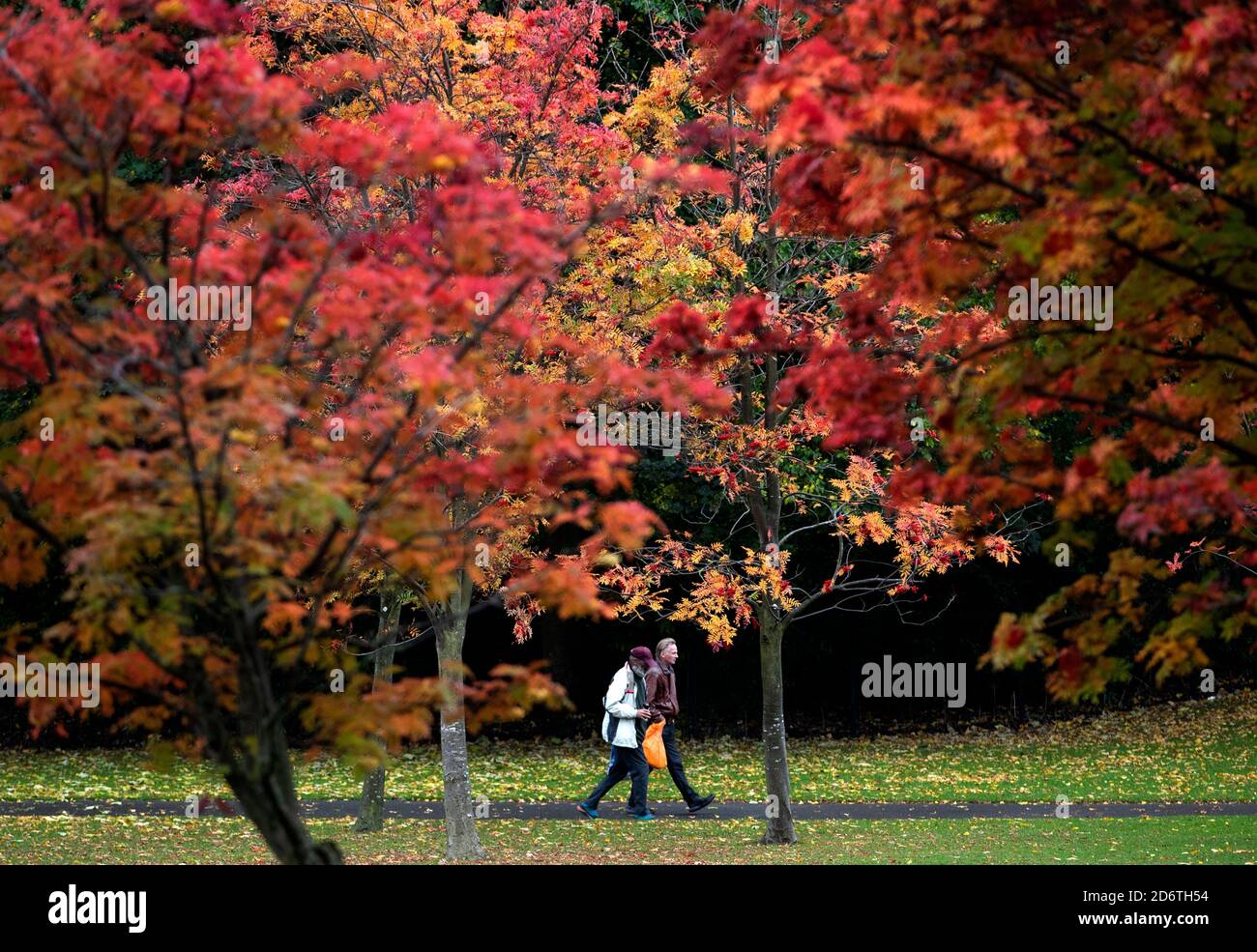 A couple walk past trees displaying their autumn colours in Edinburgh's ...